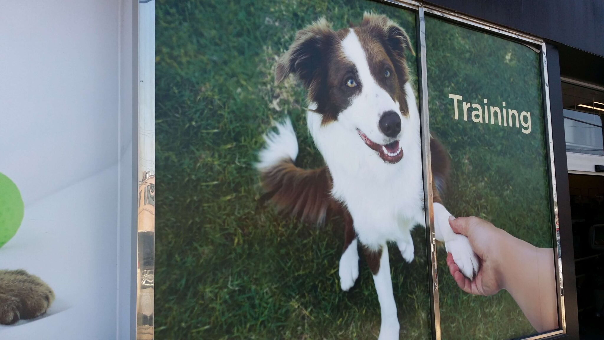 Custom Window Wraps – Custom Vinyl Graphics